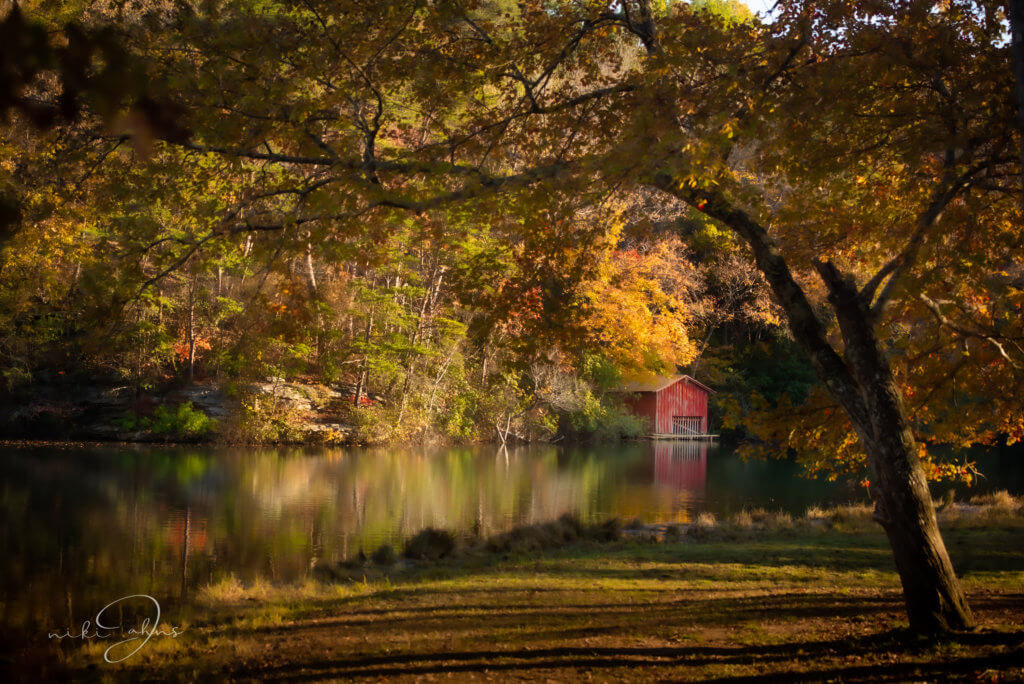 Get To Know CubiCasa Certified Photographer of the Month, Niki Jahns